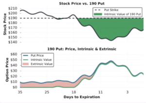 Intrinsic vs Extrinsic Value in Options: ULTIMATE Guide - projectfinance