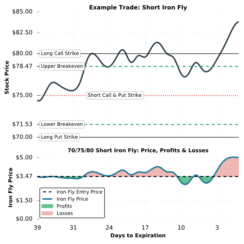 Short Iron Butterfly Explained - Examples with Visuals - projectfinance