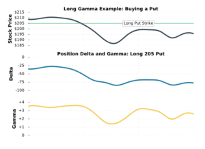 Long Gamma and Short Gamma Explained (Best Guide) - projectfinance
